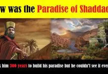 Why Prophet Muhammad lead Janaza of Abduallh bin Ubay? - Life in Saudi Arabia